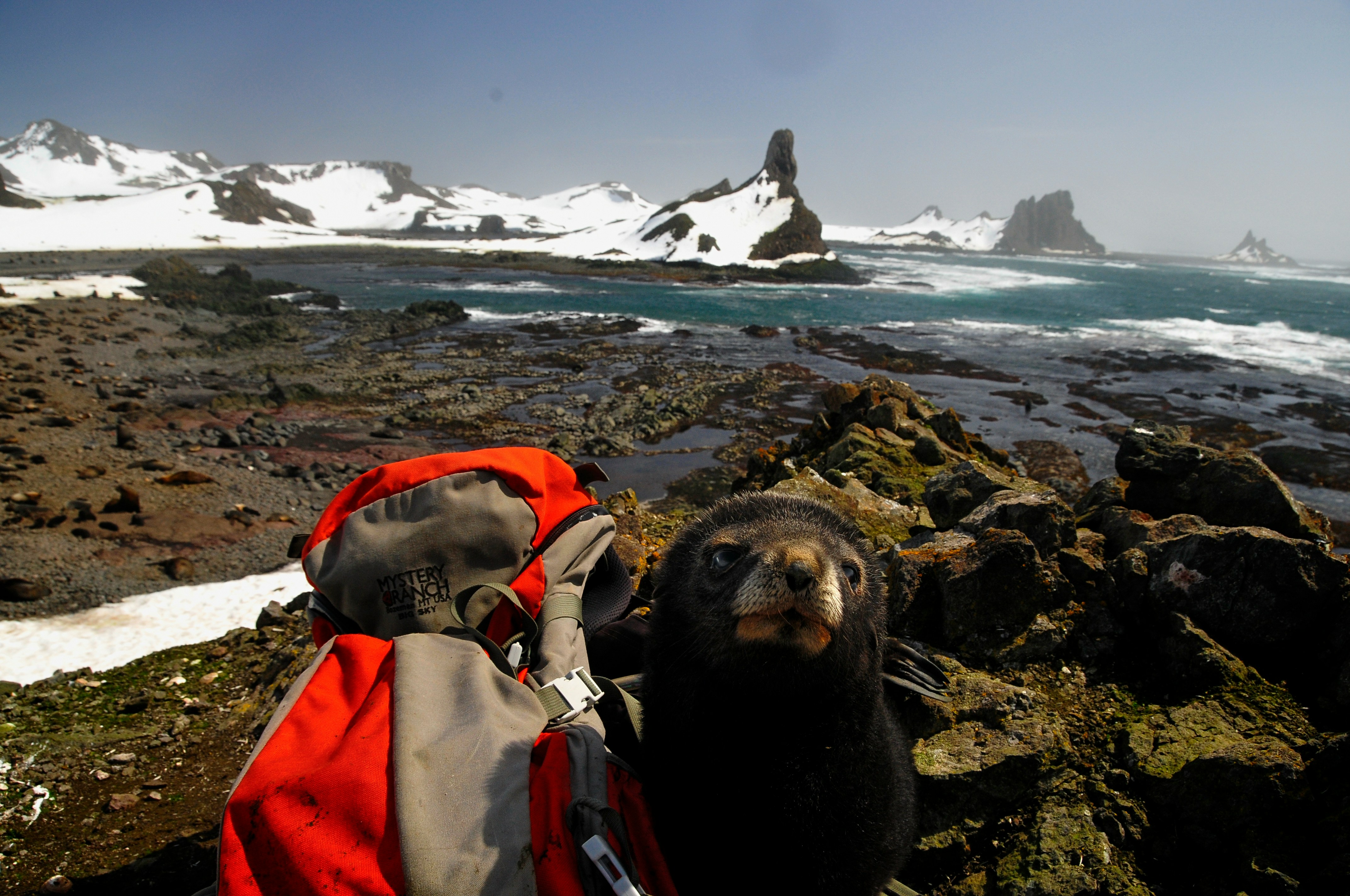 Antarctica Cruise Packages 2026 - EverBlue Tours
